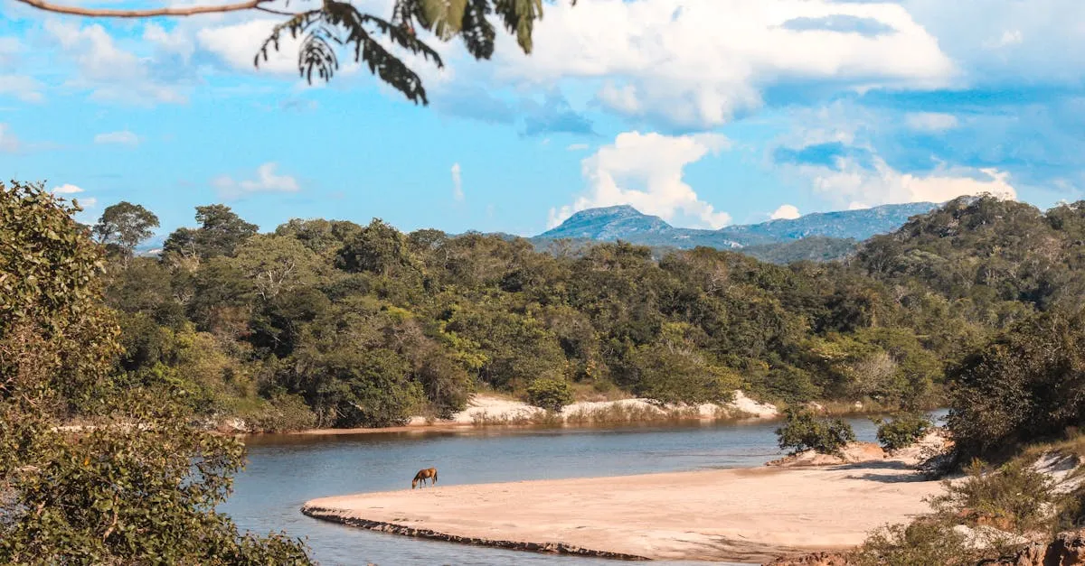 Descubra os Biomas e Fauna Fascinantes de Minas Gerais - Notícias de ...